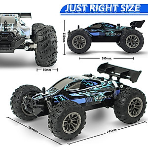 TURCGUO RC Truck,1:18 2WD All Terrain Fast Remote Control Car Electric Race Gift Boy Toy Off Road 20km/h 2.4GHz Radio RC Monster Truck for Adults with 2 Rechargeable Batteries