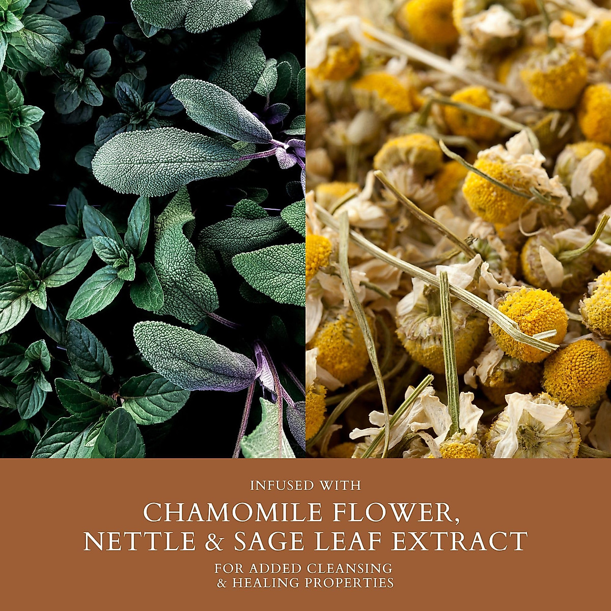 smartSOLUTIONS Dual-Action Creme Conditioner | Sulfate, Paraben & Sodium Chloride Free | Color Safe & Chemically Treated Hair Safe (8 fl oz)