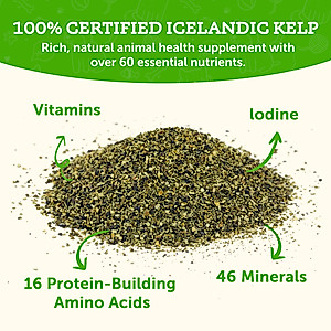 Animal Essentials Ocean Kelp for Dogs & Cats - Thyroid Support, Thyroid Supplement, Sea Kelp, Kelp Powder, Trace Mineral Supplement - 24 Oz