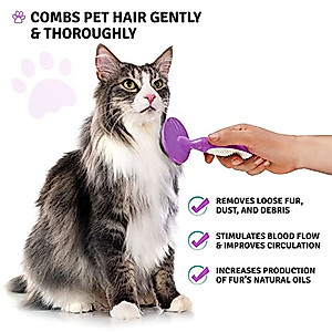Round Bristle Pet Brush for Dogs and Cats - Gentle Grooming for Short or Long Hair - Soft Tool for Sensitive Skin Removes Dander, Dirt, and Detangles - Purple