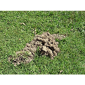 Tomcat 0363210 Mole Trap Innovative and Effective Design, Granules, Brown