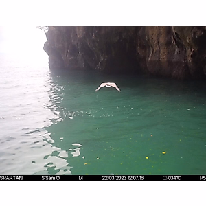 Spartan Camera Gocam 4G LTE Trail Camera, Free Roaming, Remotely Update Settings, HD Video, Photo, Blackout Flash, Hunting, Security, Surveillance + Steel Case + 32GB SD Card