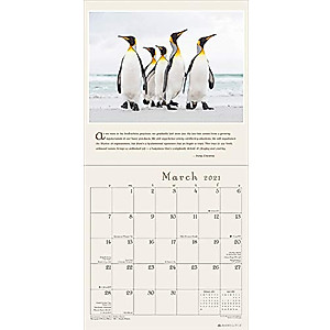 Pema Chodron 2021 Calendar: Awakening the Heart