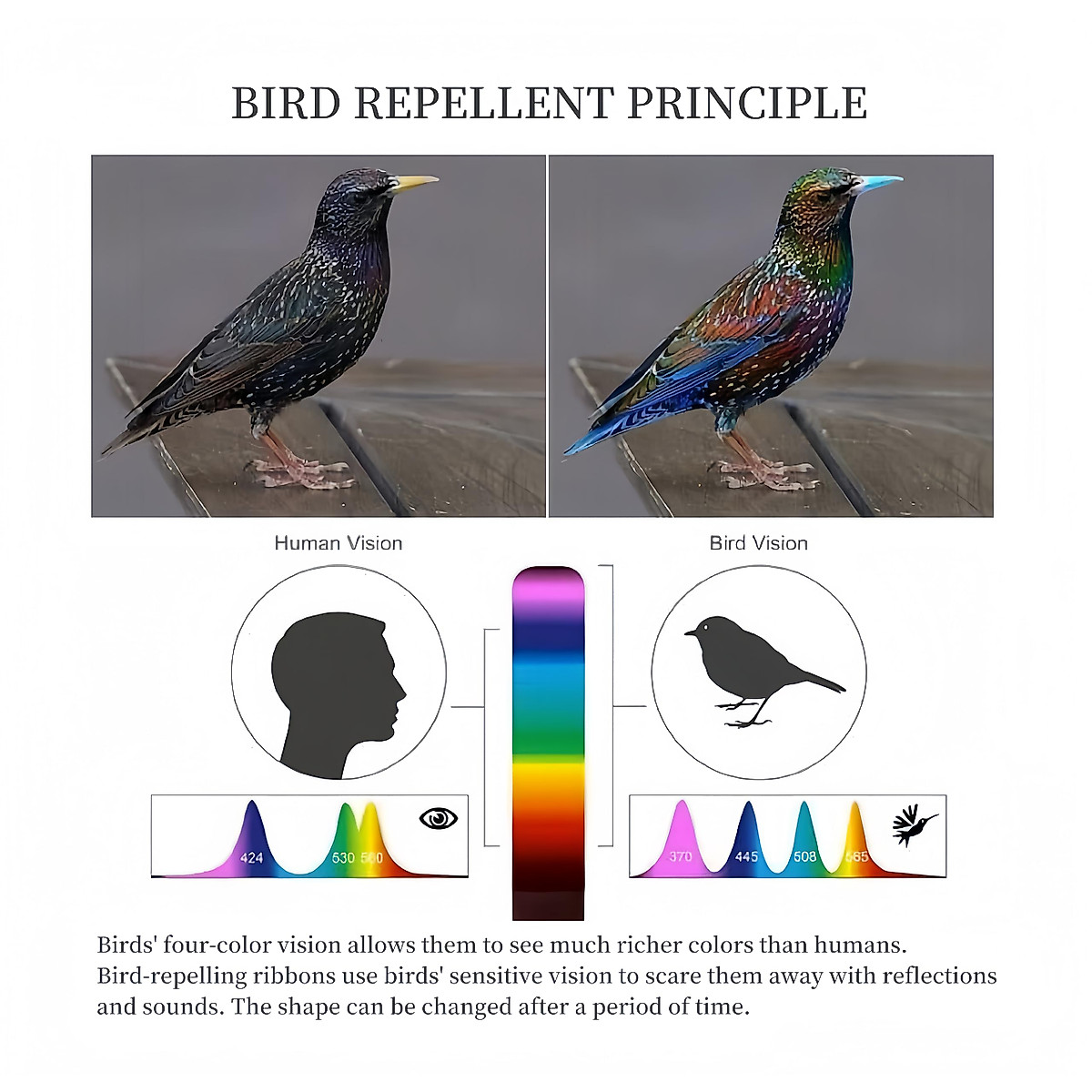 SATONBEYI 1 Roll Bird Scare Tape Ribbon,2 Inch*200 Ft Bird Tape for Outside,Easy Use Bird Reflective Tape for Garden, Orchard,Farmor Courtyard(Silver)