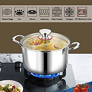 P&P CHEF 4 Quart Stockpot with Lid, Stainless Steel Tri-Ply Cooking Soup Pasta Stock Pot for Gas/Induction/Electric Stoves, With Glass Cover & Two Handles, Heavy Duty & Dishwasher Safe
