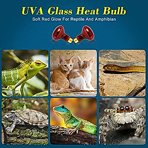 HANJION Reptile Red Light Bulb 100W , Reptile Infrared Basking Spot Bulb Red Lamp for Bearded Dragon Lizard,Snake Heating