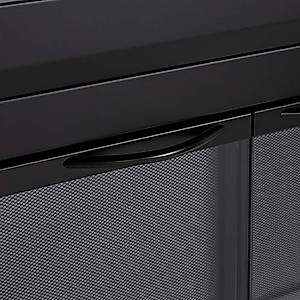 Pleasant Hearth Carlisle Fireplace Glass Door, Medium (CL-3001), Black