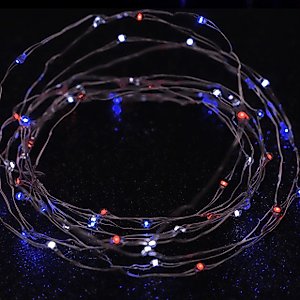 MIYA LIFE Independence String Lights 10FT & 40LEDs & Patriotic Decorations | Battery Powered & Timer Remote (Rice Lights)