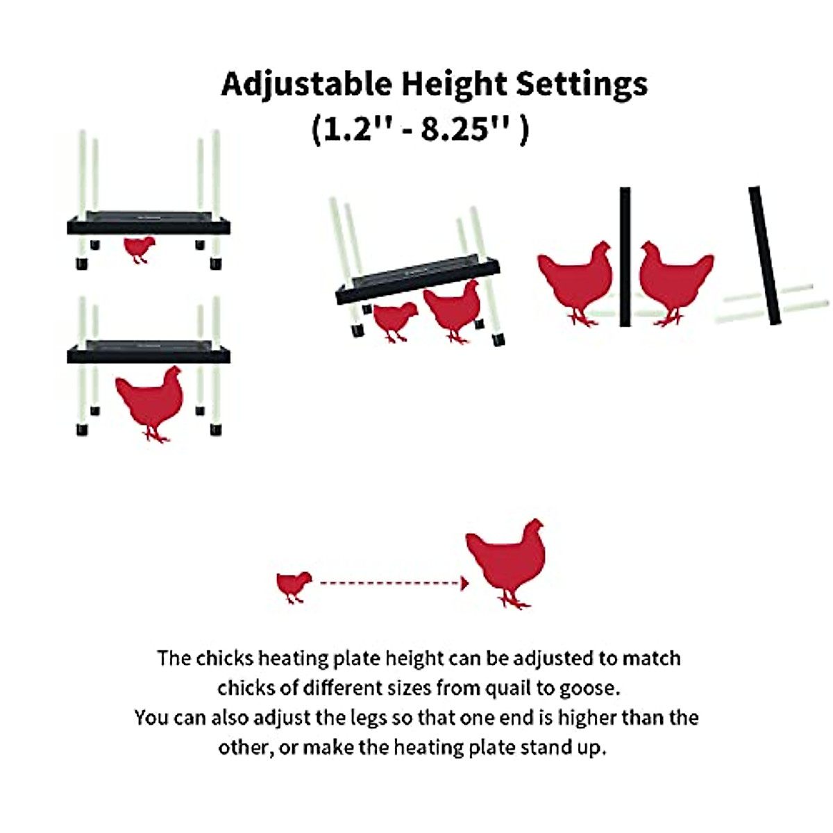 Chicks Heating Plate, Briidea 12'' *12'' Chick Brooders with Adjustable Height, Keeps Up to 20 Chicks Warm, 48W, Black