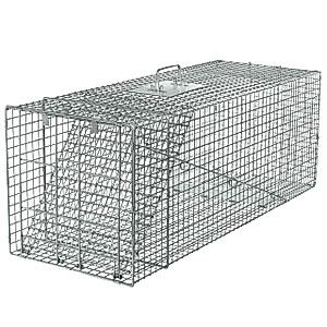 Havahart 1081 Live Animal Professional Style One-Door Large Raccoon, Small Dogs, and Fox Cage Trap-Made in the USA