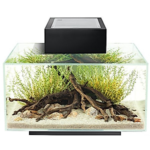Fluval Edge Aquarium Kit, 6 Gallon, Black