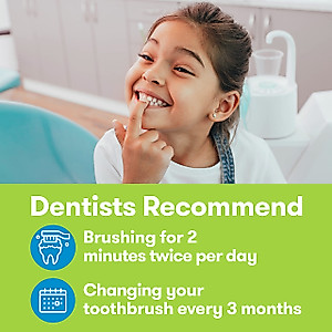 Firefly LightUp Timer Toothbrush with Suction Cup 2 ea (color may vary)