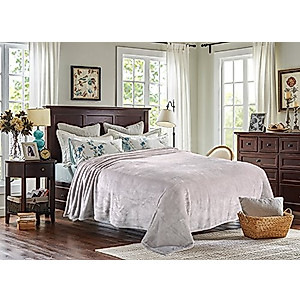 Reafort Ultra Soft Flannel Fleece All Season Light Weight Living Room/Bedroom Warm Blanket (Silver Grey, Throw 50"X60")