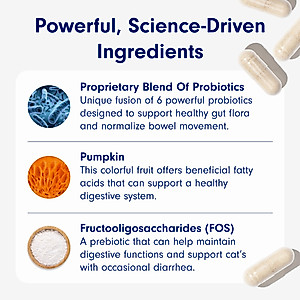 PetLab Co. Probiotics for Cats, Support Gut Health, Occasional Diarrhea, Digestive Health & Immune Support - Easy to Use - 30 Count