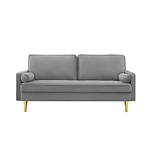 JDMYC Furniture 67" Velvet Loveseat Sofa with Golden Metal Legs, Modern Couch for Living Room, Bedroom, Small Spaces, and Guest Room (Grey)