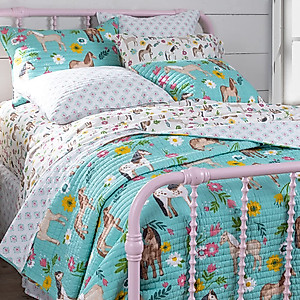 Rod's - Daisy Pony (Sheet Set) - 4-Piece Queen Sheet Set - Floral Pony - Pink Yellow Turquoise - Top Sheet(92x102in.) - Fitted Sheet (60x80x15in) - Two Standard Pillow Cases (20x30in) - Cotton