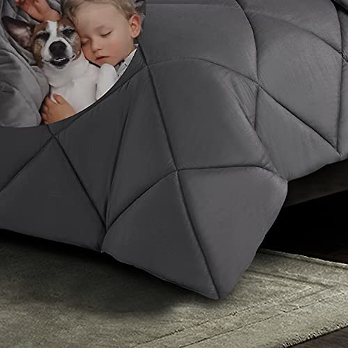 TOPLUXE Queen Comforter Set, All Season Quilted Duvet Insert with 2 Pillow Shams, Microfiber Bedding Comforter Sets Queen, Lightweight (Queen, Grey)