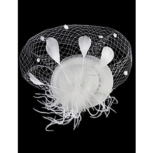 Gionforsy Kentucky Derby Hat Fascinator Veil Fascinator Headband Lace Gloves Imitation Pearl Necklace Earrings Feather Pillbox Fascinator for Wedding Tea Party (Style 1-White)