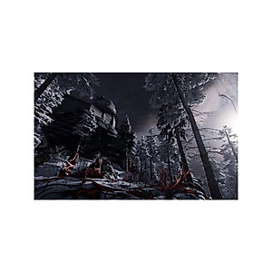 Fade To Silence (PS4)