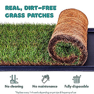 Fresh Patch Standard - Real Grass Pee and Potty Training Pad for Dogs Under 15 Pounds - Indoor and Outdoor Use - 16 Inches x 24 Inches
