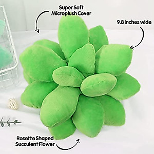 3D Succulents Cactus Pillow, Decorative Green Throw Pillows for Bed, Cute Pillows Succulent Pillow Plant Pillow for Bedroom Aesthetic Pillows Home Décor Gift for Garden Green Lovers 9.8 inches(b)