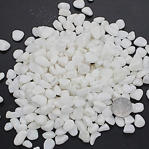 JZMYXA Aquarium Decorative Sands White Gravel Pebbles Fit for Aquariums Succulent Plants Terrarium Landscape, 2 Pounds