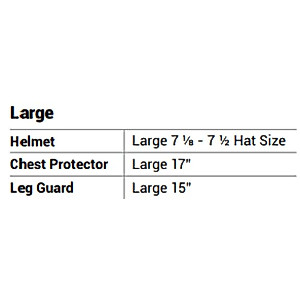 Easton | JEN SCHRO FUNDAMENTAL 2.0 Fastpitch Softball Catcher's Set | White L