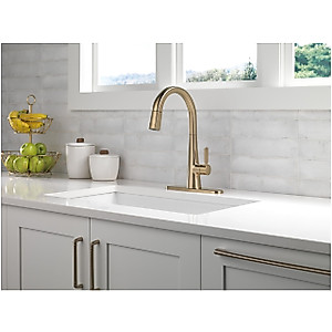 Delta RP47274 10" Escutcheon Plate Only - Replacement - Matte Black