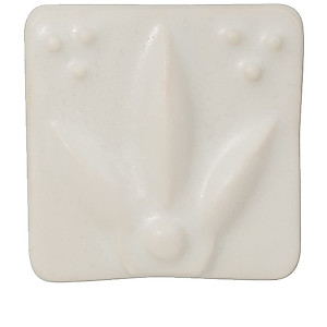 AMACO Satin Matte Glaze Class Pack 1