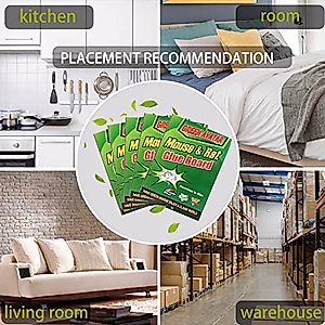 Ezoon 12 Pack Large Mouse Glue Traps with Enhanced Stickiness, Rat Mouse Traps, Snake Mouse Traps Sticky Pad Board for House Indoor Outdoor, Easy to Set, Extra Large (8.3" x 12")