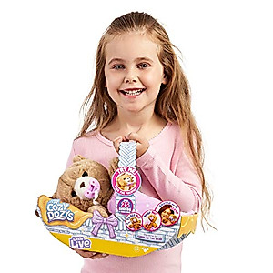 Little Live Pets Cozy Dozy Cubbles The Bear - Over 25 Sounds and Reactions | Bedtime Buddies, Blanket and Pacifier Included | Stuffed Animal, Best Nap Time, Interactive Teddy Bear, 14.9 Ounces