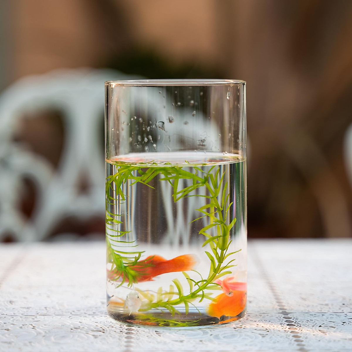 Devilfire 12Pcs Glass Cylinder vases for Centerpieces, 6 Inches Tall Flower Vases Wedding Decorations,Bulk Cylinder Flower& Plant Vases,Hurricane Candle Holder for Table Shelf, Party.