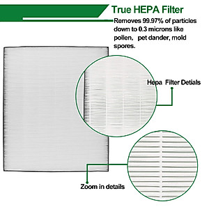 Replacement Post Filter and Carbon Pre Filter compatible for Bissell Air400, 1 Pre Filter + 1 Carbon Post Filter, Compared to Part # 2521 and 2520