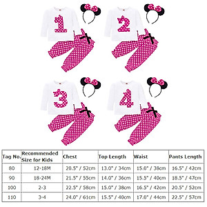 ODASDO Toddler Baby Girl 2nd Second Birthday Party Cake Smash Outfit Cotton Long Sleeve T-shirt Top Pants Ear Bowknot Headband 3pcs Clothes Set Photo Props Hot Pink 18-24 Months