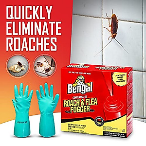 Bengal Concentrated Roach &Flea Fogger - Roach Killer Indoor Infestation Spray - Flea Foggers for Home Indoor - Bug Spray - Pest Control -Available with Premium Quality Centaurus AZ Gloves- 3-2.7oz