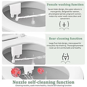 Yaoliucp Bidet Attachment for Toilet, Non Electric Bidet Toilet Seat Attachment with Dual Nozzle, Adjustable Toilet Bidet Attachment for Sanitary and Feminine Wash, Bidet Attachment for Toilet