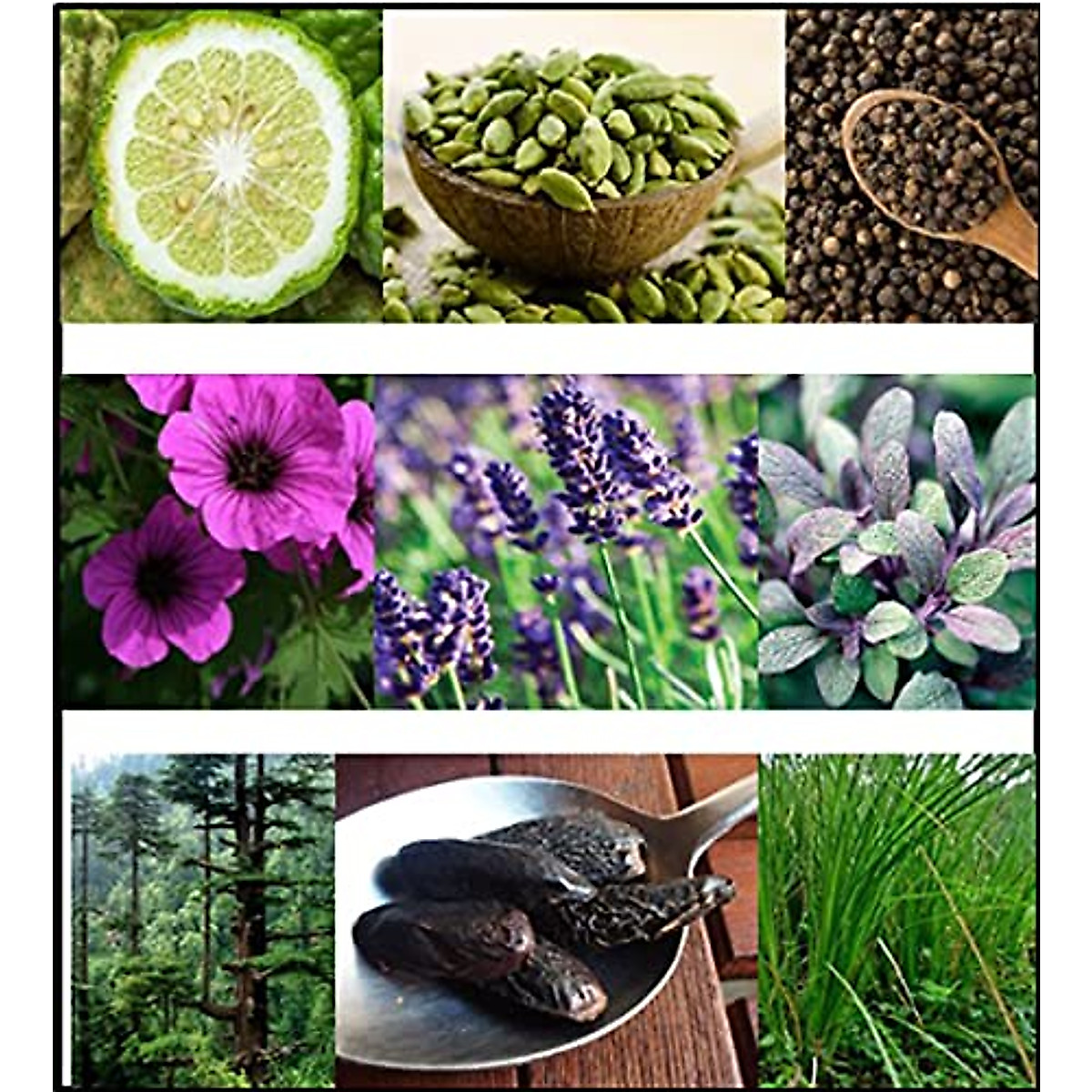 FILA Refreshing Body Spray for Men - Cool, Clean, Fresh Men’s Fragrance - Infused With Notes Of Bergamot, Cardamom, and Pepper - Trendy, Rectangular, Streamlined, Portable Bottle Design - 8.4 Oz