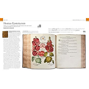 Remarkable Books: The World's Most Historic and Significant Works (DK History Changers)