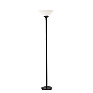 Adesso Home 7500-01 Transitional Two Light Floor Lamp from Aries Collection in Black Finish, 73