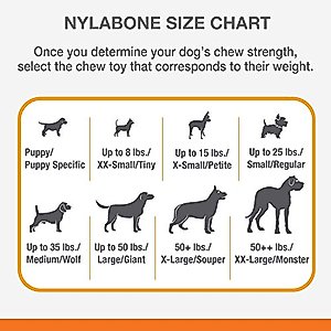Nylabone Dura Chew Power Chew Textured Bone Flavor Medley Small/Regular (1 Count)