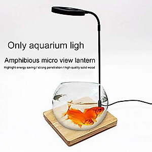 LED Aquarium Light 360 Degree Full Spectrum LED Light with Bamboo Board 10W Nano Fish Tank Light USB Powered Flat Nano Aquarium Light Bett a Fish Tank Light for Plant Growth