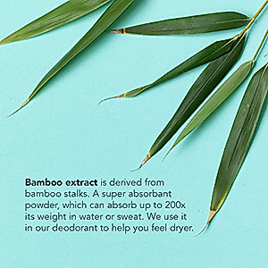 Ethique Botanica Floral Deodorant Stick for Men & Women - Aluminum-Free, Plastic-Free, Vegan, Cruelty-Free, Eco-Friendly, 2.47 oz (Pack of 1)