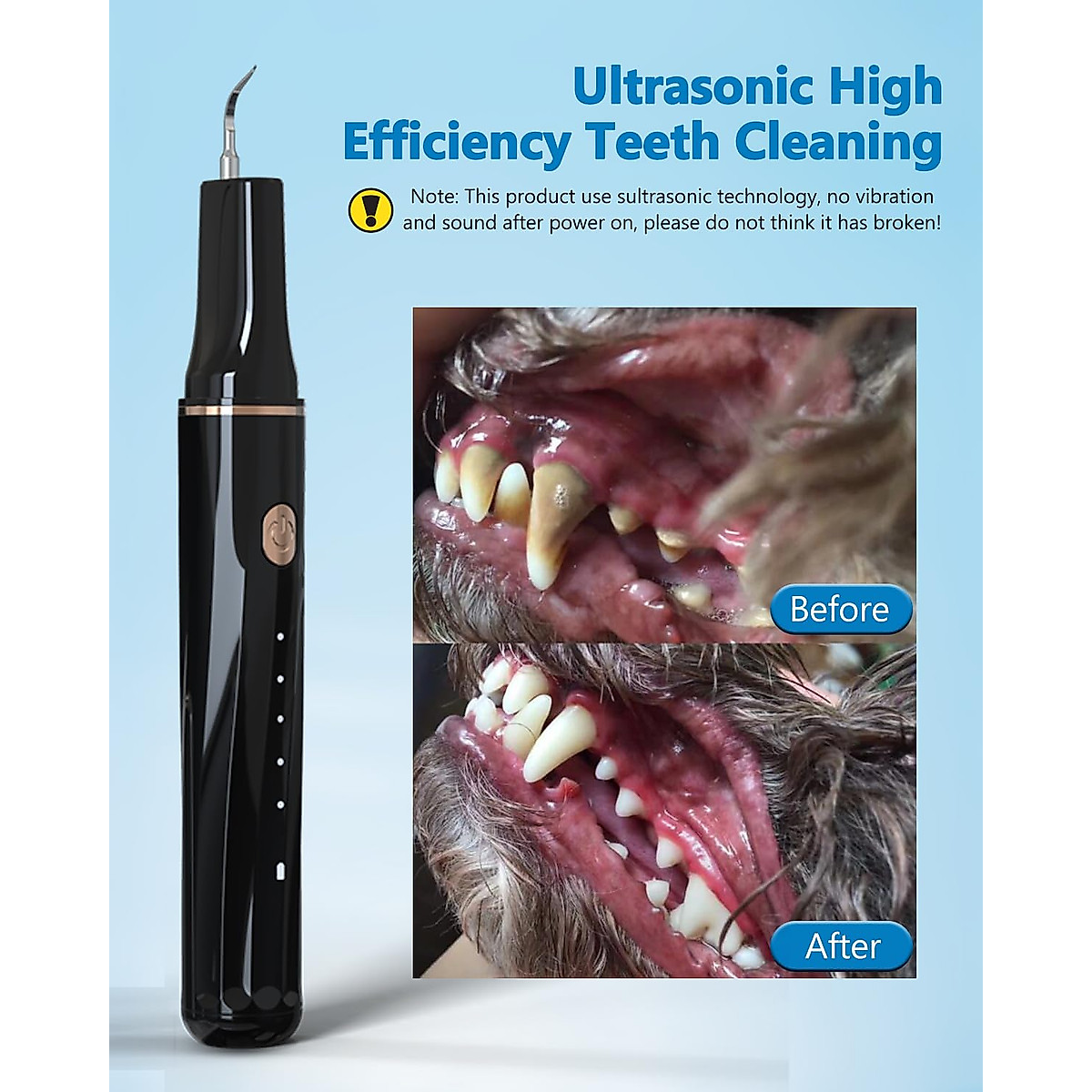 Hansaplast Plaque Remover for Teeth, Dog Teeth Cleaning, Dental Tools to Remove Tartar and Stains, Safe for Dogs & Cats, with Led Light & 5 Adjustable Modes (Black)