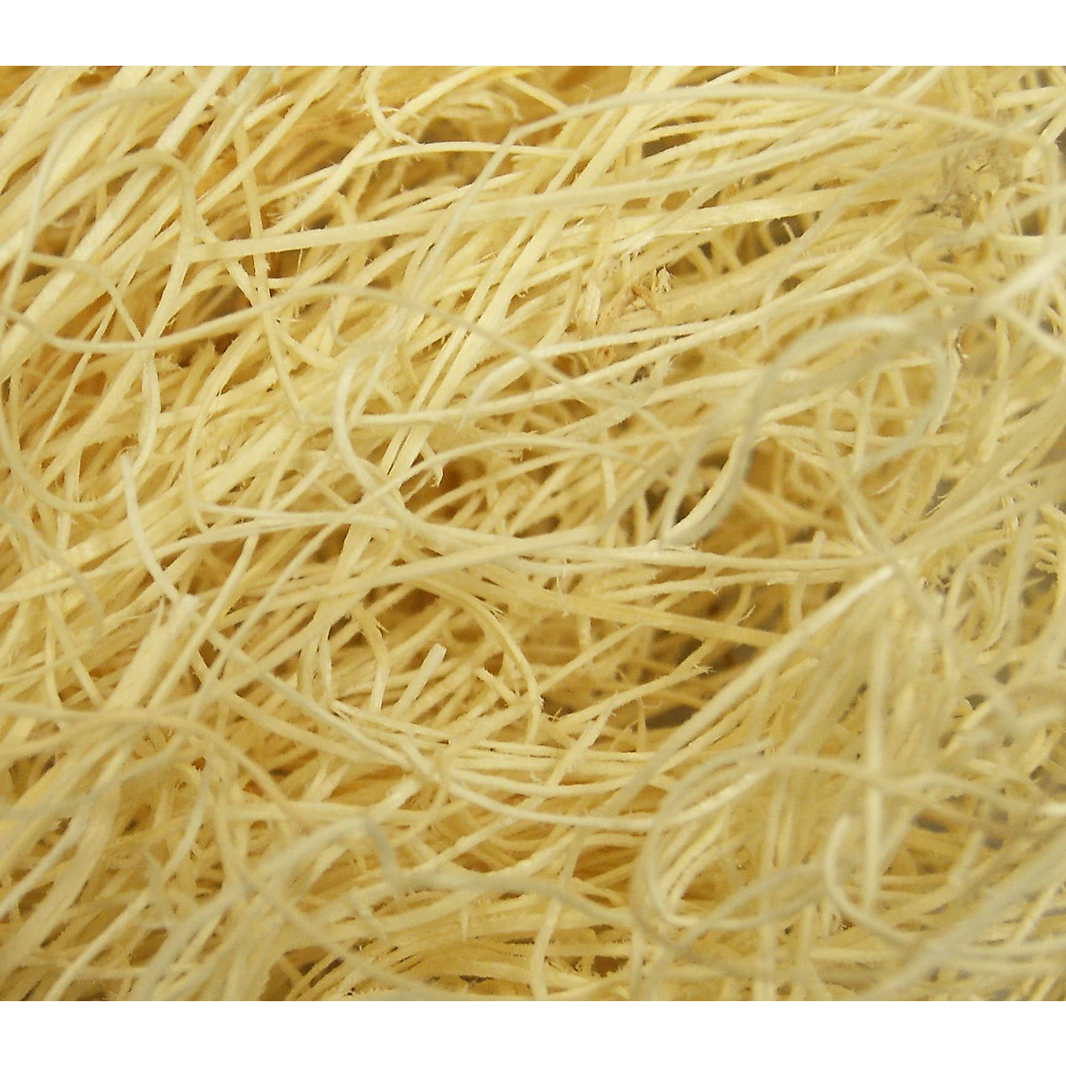 Josh's Frogs Melanogaster Fruit Fly Culturing Kit with Media, Vented Cups, and Excelsior (Small)