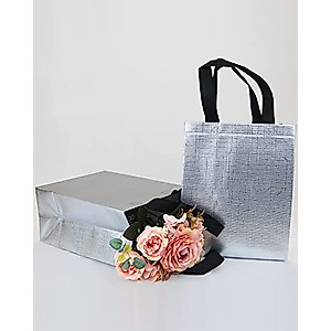 HUANN 6 Pcs Silver Gift Bags Medium Size Shine Reusable Gift Bags with Handles Metallic Glossy Non Woven Gift Bags for Wedding Christmas Party Birthday 8 x 5 x 10 Inch