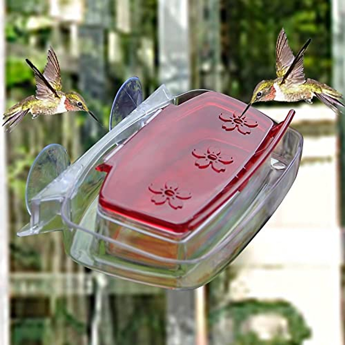 Juegoal Window Hummingbird Feeder, 8-Ounce