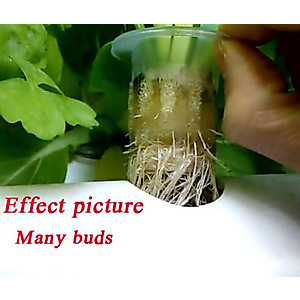 INTBUYING Wall-Mounted PVC Hydroponics Growing System 54 Plant Sites 6 Pipes Hydroponic Grow Kit Garden System Vegetable Tool with Pump