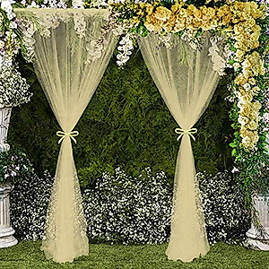 Tulle Backdrop Curtain for Parties 10ftx8ft Champagne Sheer Backdrop Curtain for Wedding Birthday 2Panles 5ftx8ft