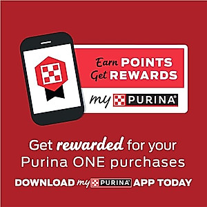 Purina ONE Sensitive Stomach, Sensitive Skin, Natural Dry Cat Food, +Plus Sensitive Skin and Stomach Formula - 22 lb. Bag