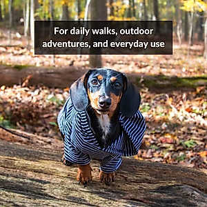 DJANGO Dog Hoodie and Super Soft and Stretchy Sweater with Elastic Waistband and Leash Portal (Medium, Black)